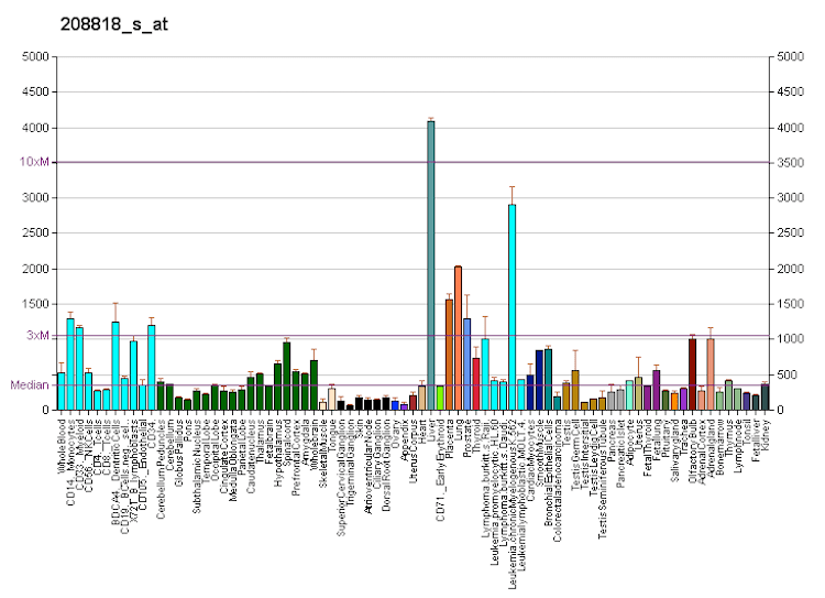 How The COMT Gene Influences Your Brain Function