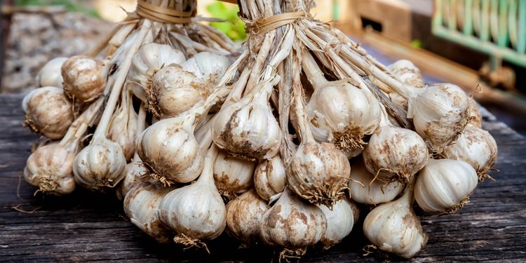 The 3 Health Benefits I Notice from Eating Lots of Garlic - Healthdish