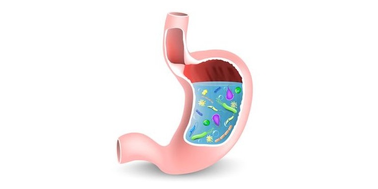 Why a Candida Overgrowth Could Be Robbing You Of Your Health - Healthdish