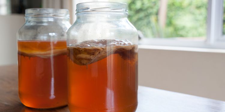 Three Reasons I Drink Kombucha - Healthdish