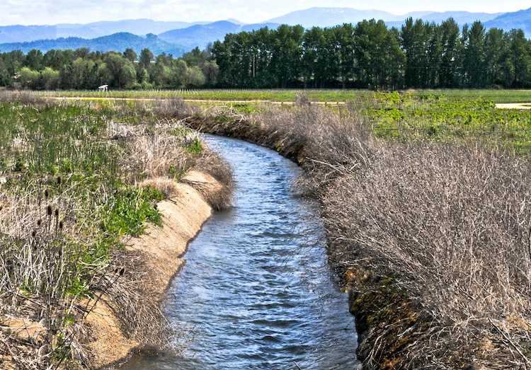 The Benefits Of Selenium And Dosage Recommendations