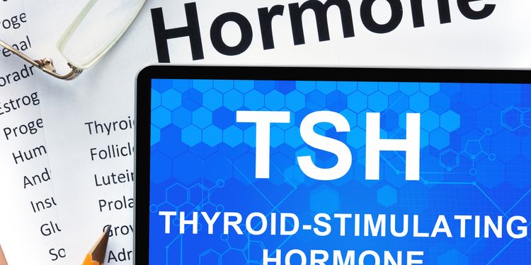 The Thyroid Function Tests You Need To Know About - Healthdish