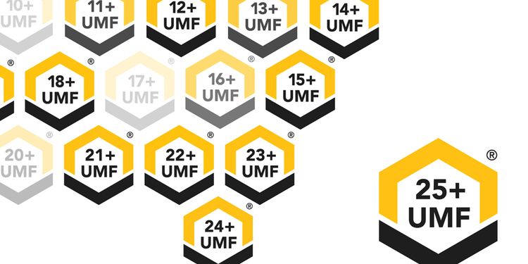 The Health Benefits of Manuka Honey